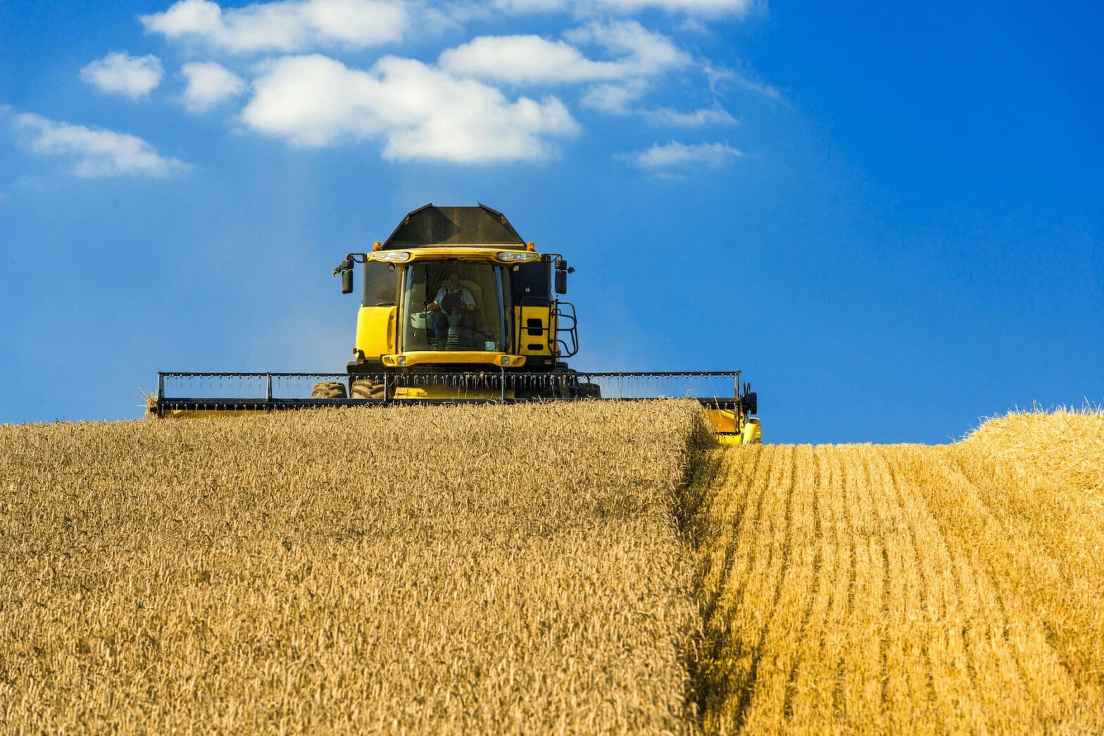 Positive impacts of farming | The Organic Snack Company